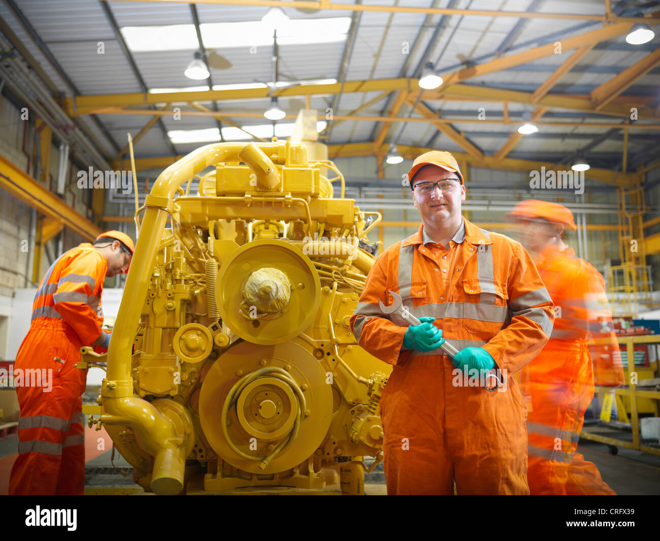 Novice Plant High Resolution Stock Photography and Images - Alamy