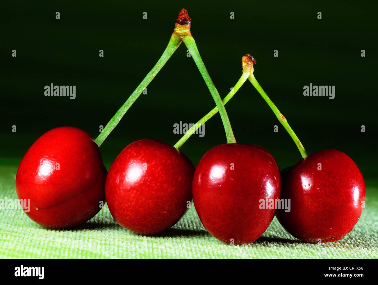 perfect sweet cherries Stock Photo - Alamy