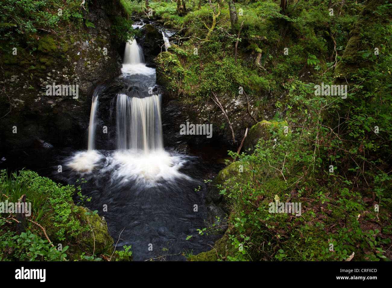 River cree scotland hi-res stock photography and images - Alamy