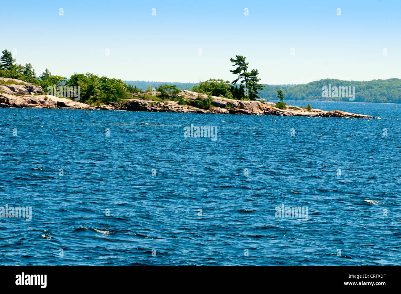 Windswept pine tree georgian bay hi-res stock photography and images ...