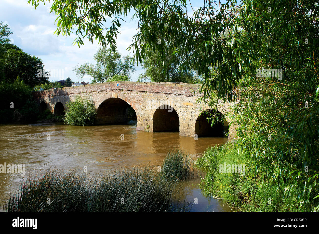 Medieval bridge at Pershore Stock Photo - Alamy