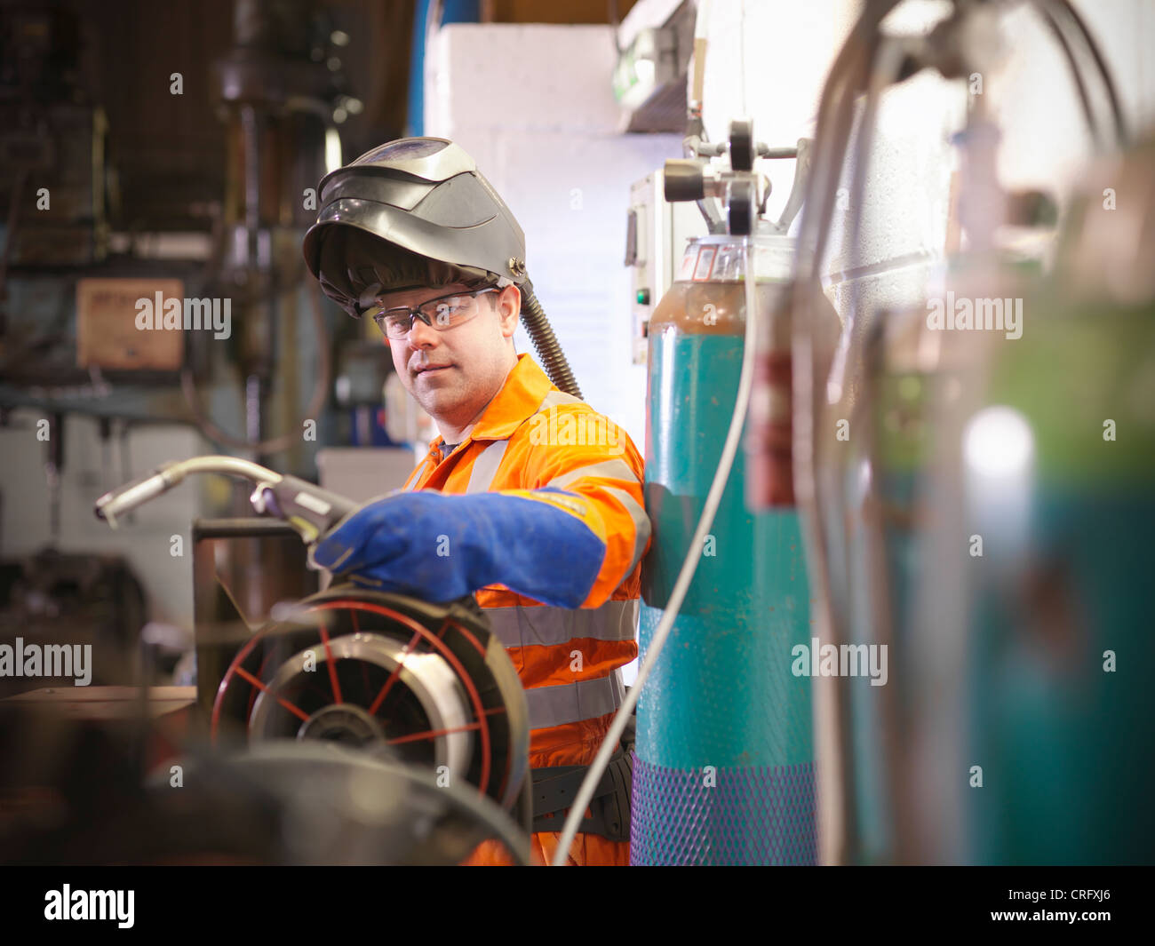 Novice plant hi-res stock photography and images - Alamy