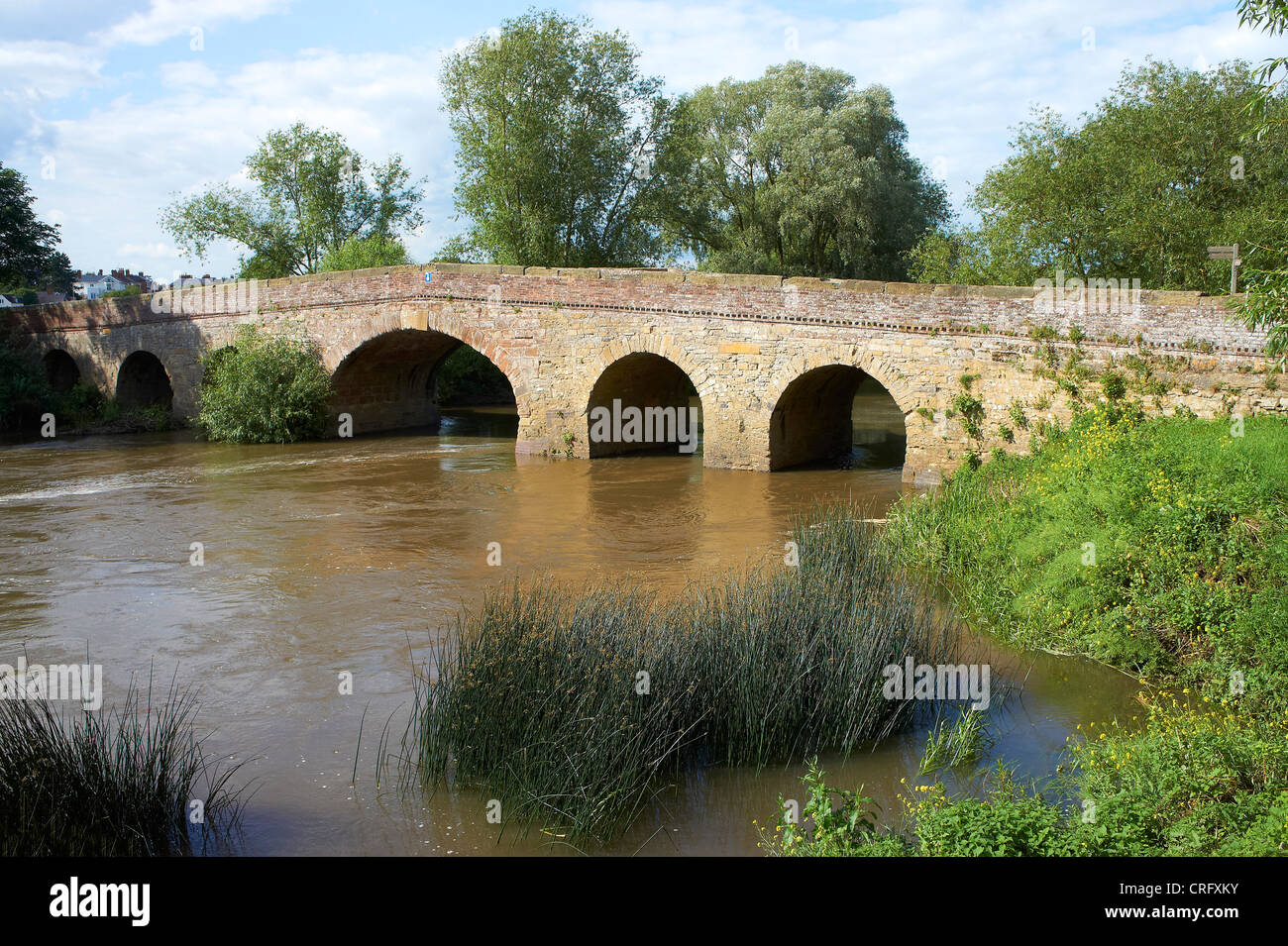 Medieval bridge at Pershore Stock Photo - Alamy