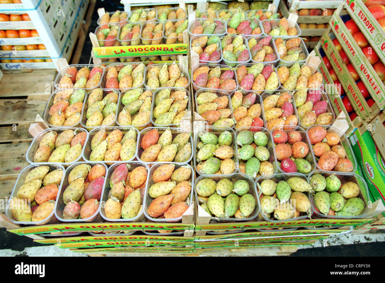Box of cactus fruits Stock Photo - Alamy