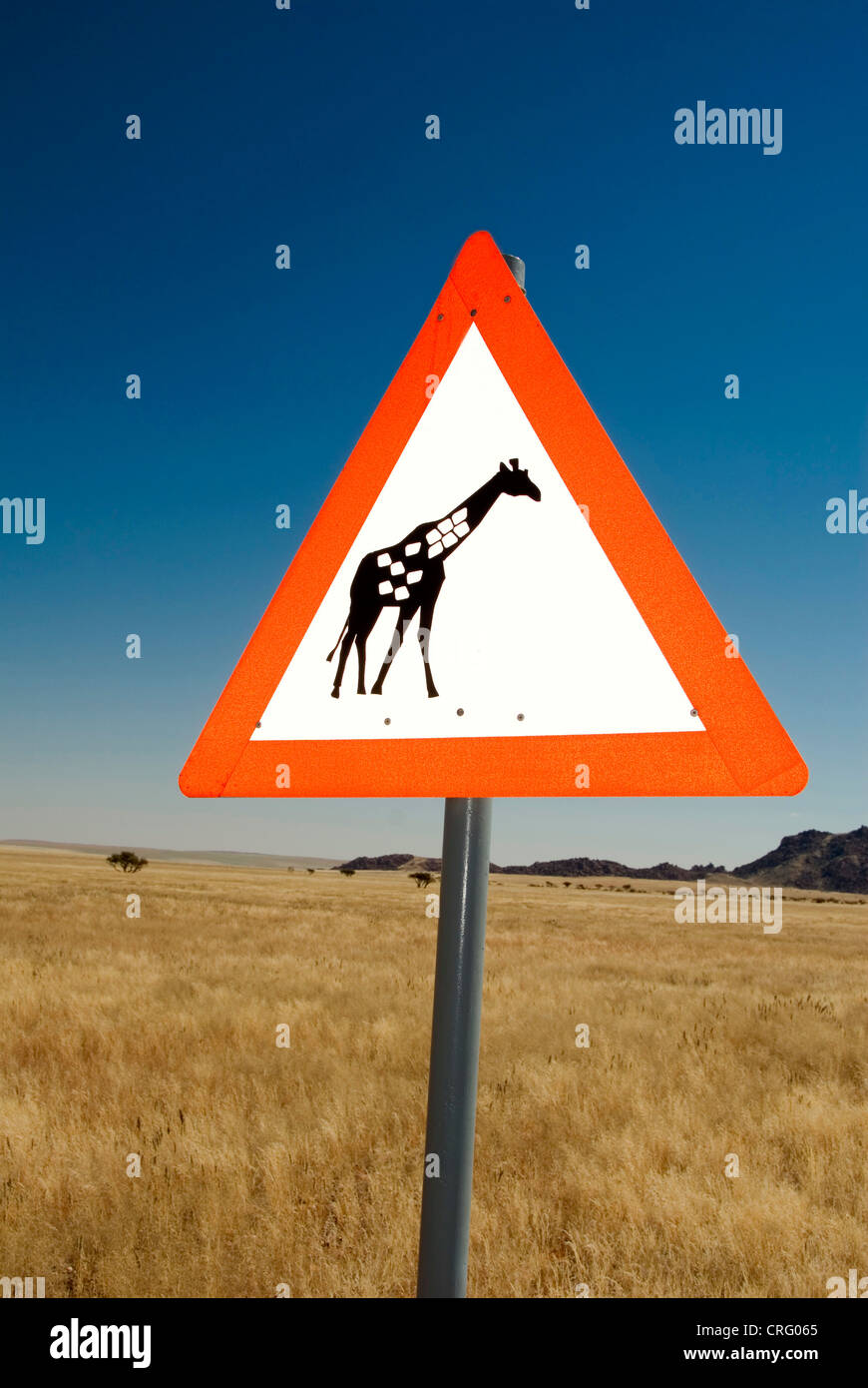 traffic sign, caution giraffes, Namibia Stock Photo - Alamy