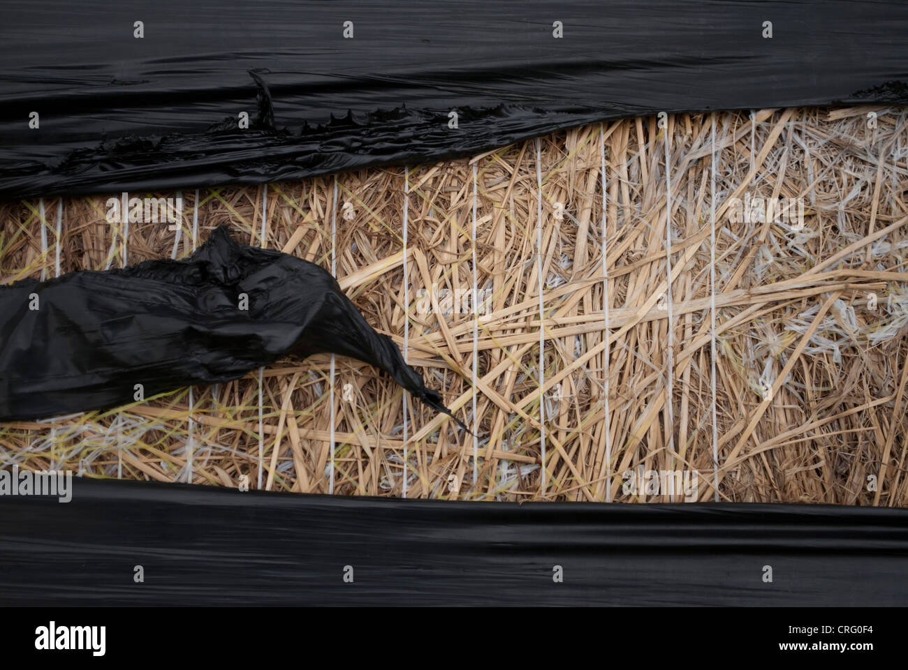 Black plastic wrapping hi-res stock photography and images - Alamy