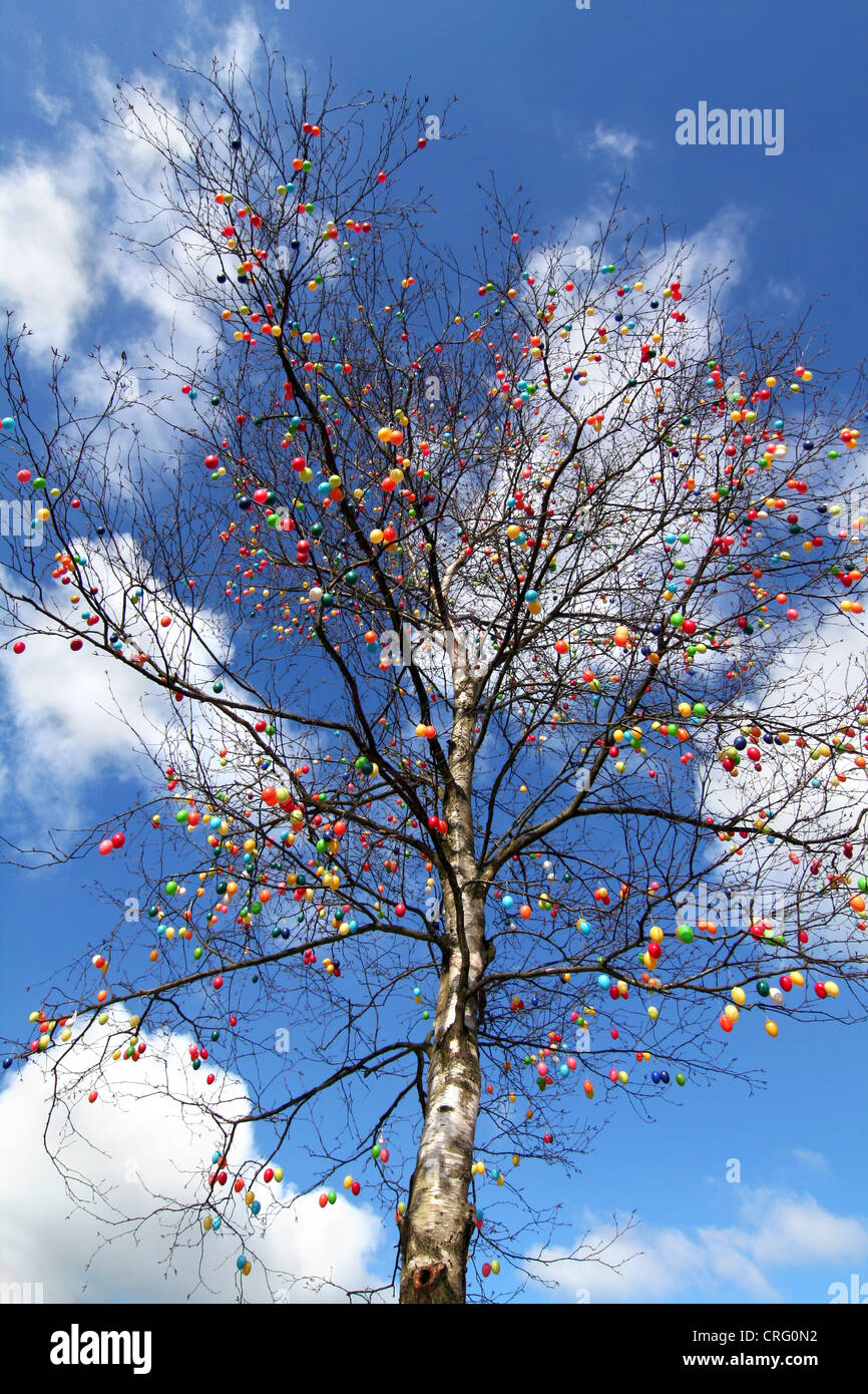 Decorated birch tree hi-res stock photography and images - Alamy
