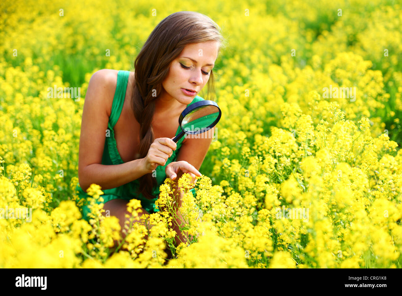 botanist woman in yellow flower field Stock Photo - Alamy