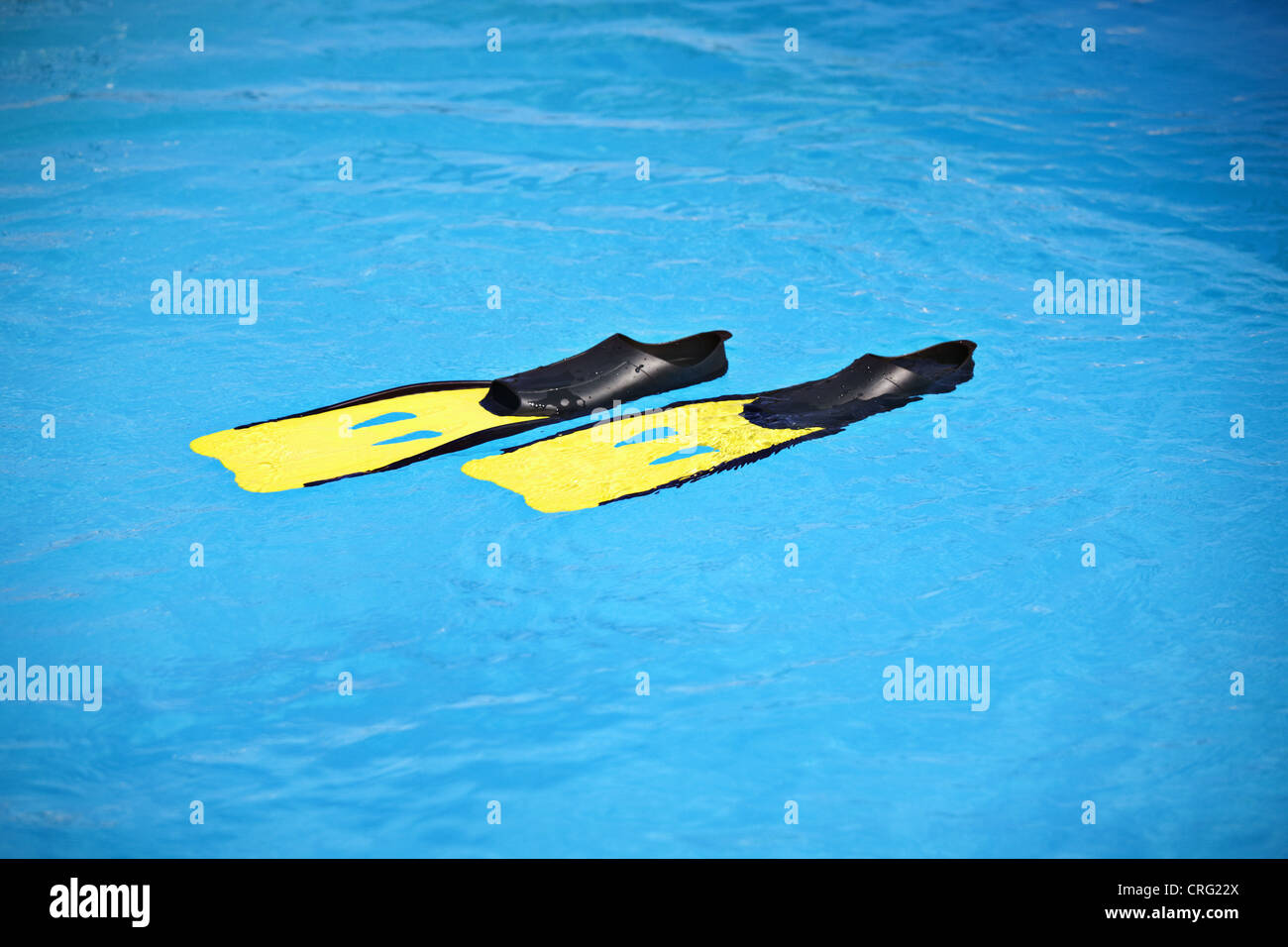 Fins floating in swimming pool Stock Photo - Alamy