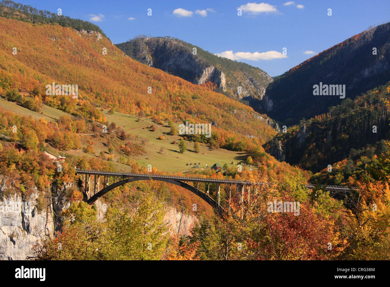 Tara Bridge, Tara River Canyon, Durmitor National Park, Montenegro ...