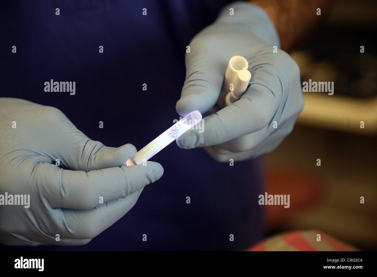 Dentist checking patients teeth Stock Photo - Alamy