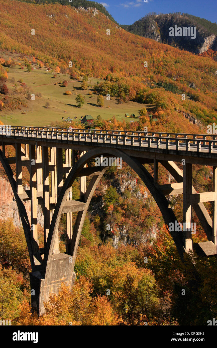 Tara Bridge, Tara River Canyon, Durmitor National Park, Montenegro ...