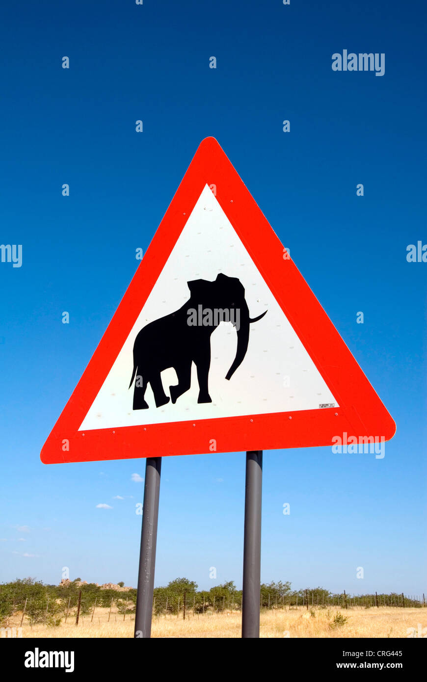 traffic sign, caution elephants, Namibia Stock Photo - Alamy