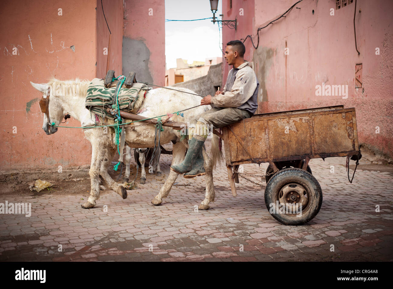 Local man riding a donkey cart, Marrakech, Morocco Stock Photo - Alamy
