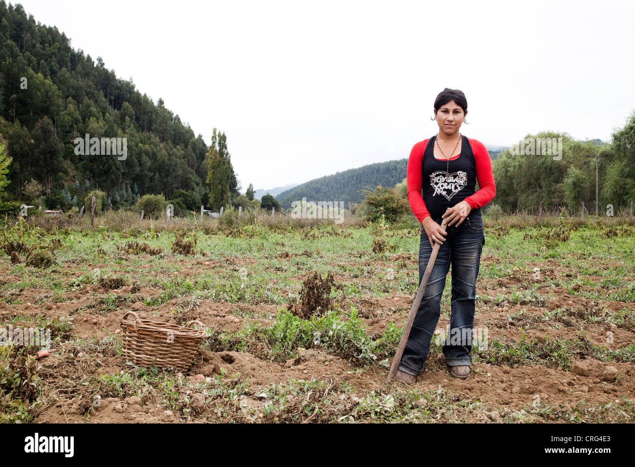Potato field chile hi-res stock photography and images - Alamy