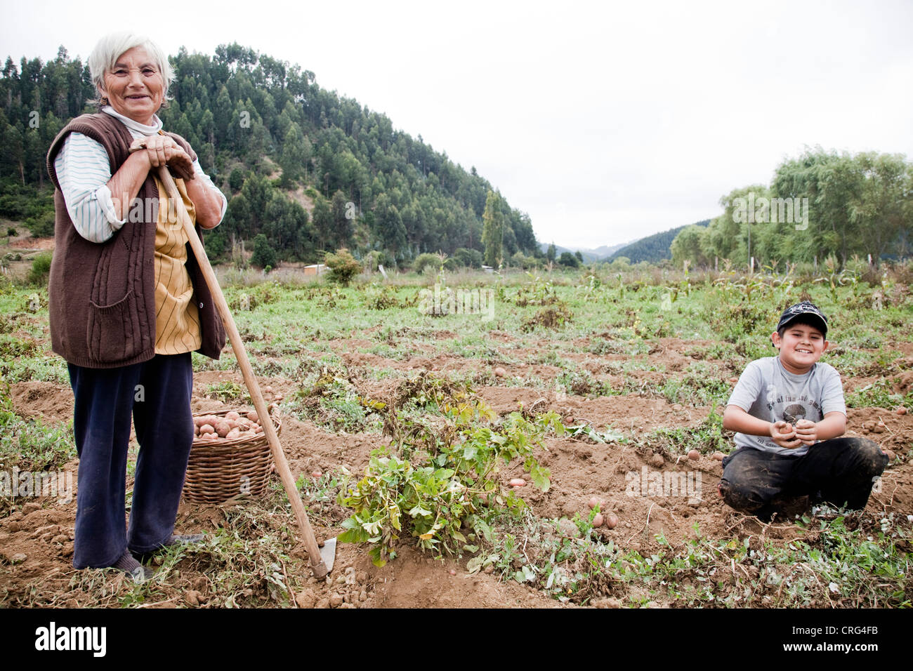 Potato farm chile hi-res stock photography and images - Alamy
