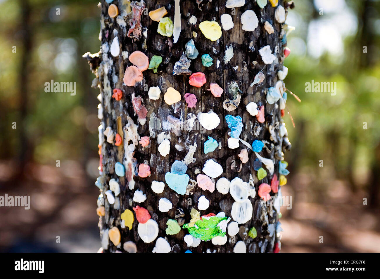 Chewing gum hi-res stock photography and images - Alamy