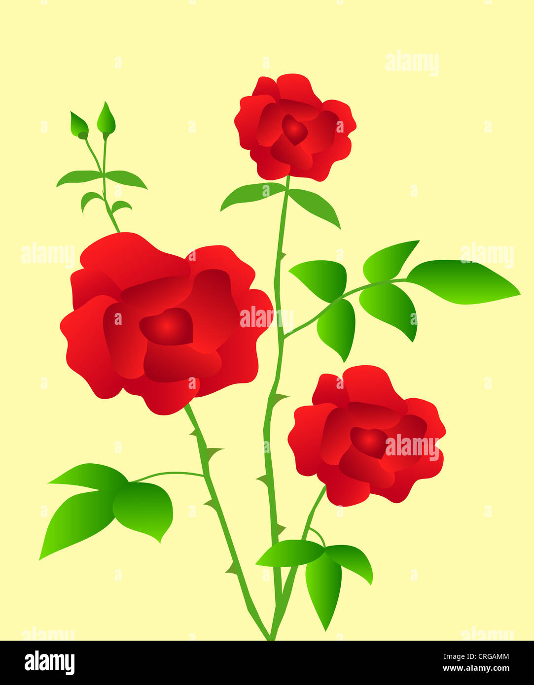 Rose plant illustration hi-res stock photography and images - Alamy