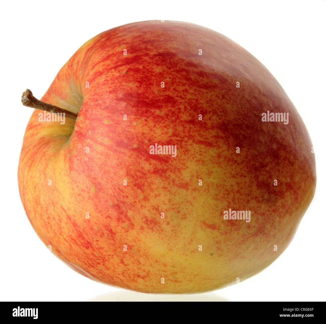 Yellow-red apple on white background Stock Photo - Alamy
