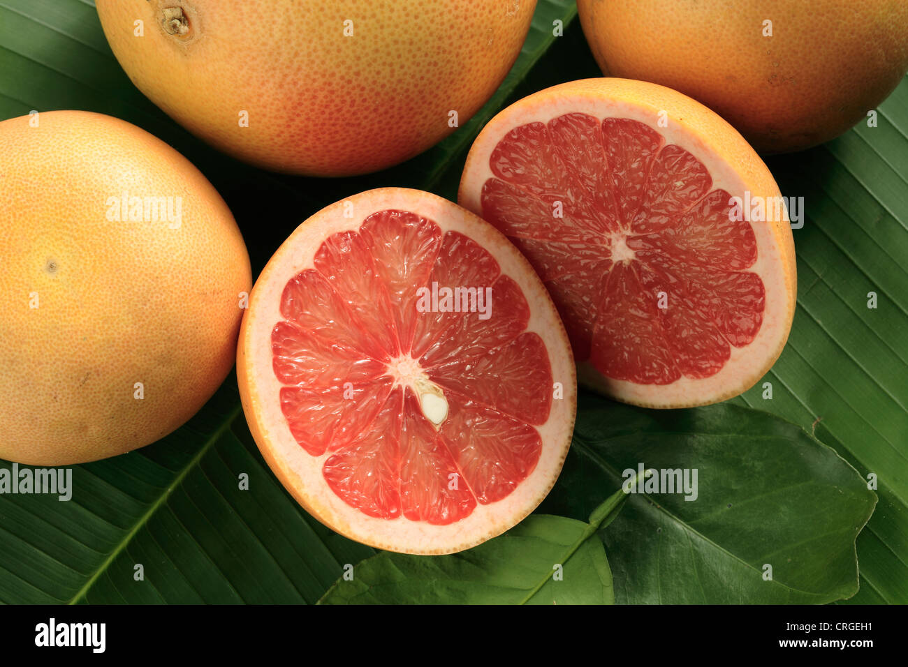 Ripe red grapefruits, whole and cut, on the palm leaf Stock Photo - Alamy