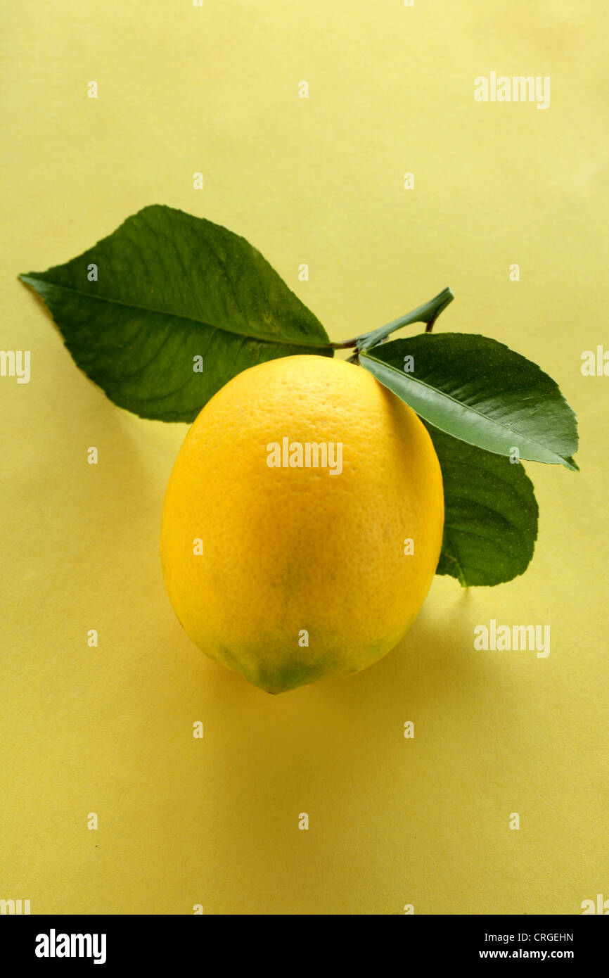 A single lemon with leaves on yellow background Stock Photo - Alamy