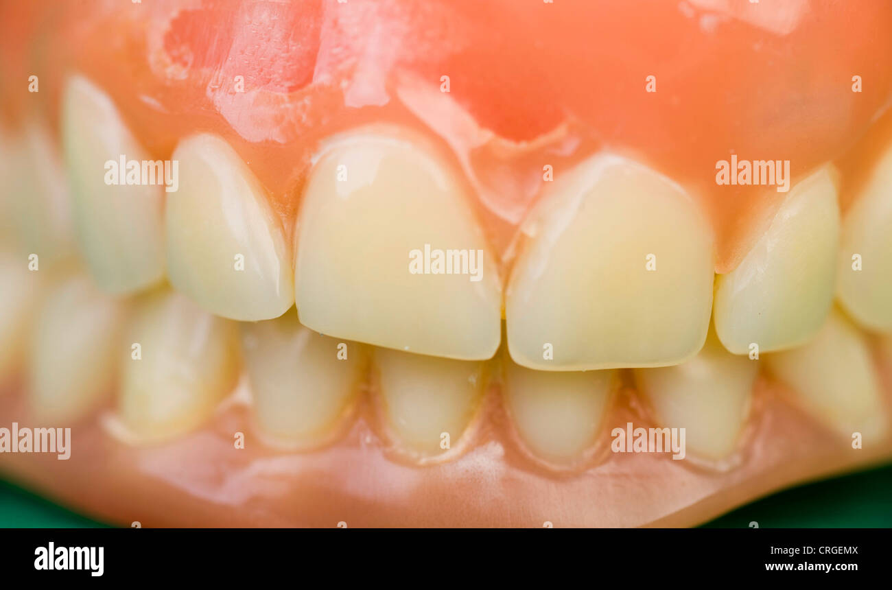 False Teeth Stock Photos & False Teeth Stock Images - Alamy