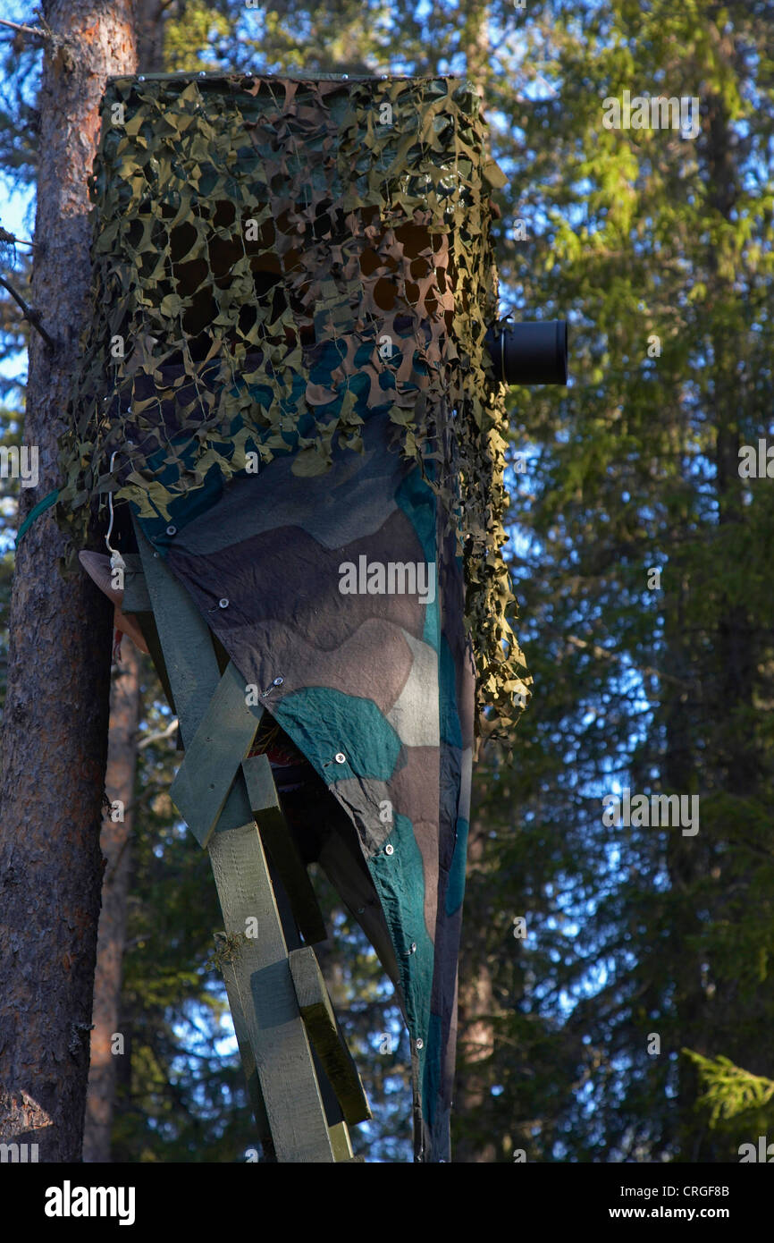 photographers' hide, Sweden, Oestersund Stock Photo - Alamy