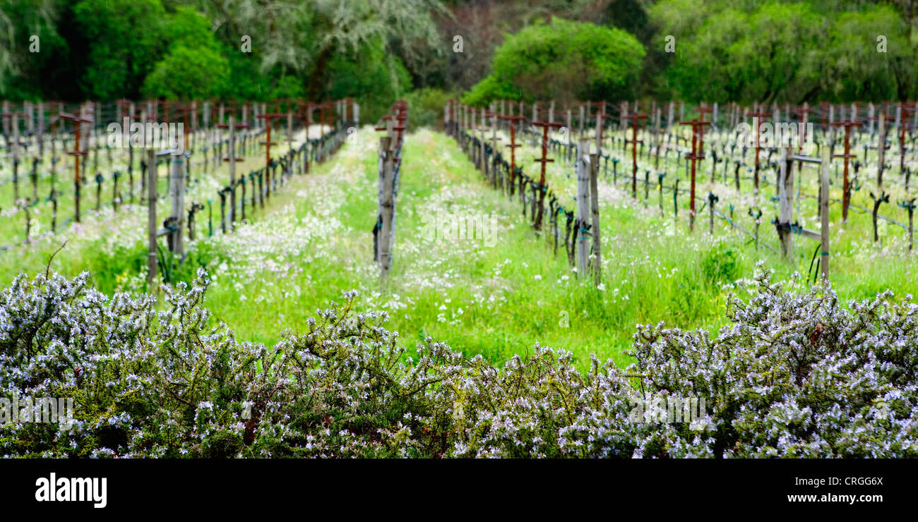 Hendry ranch hi-res stock photography and images - Alamy