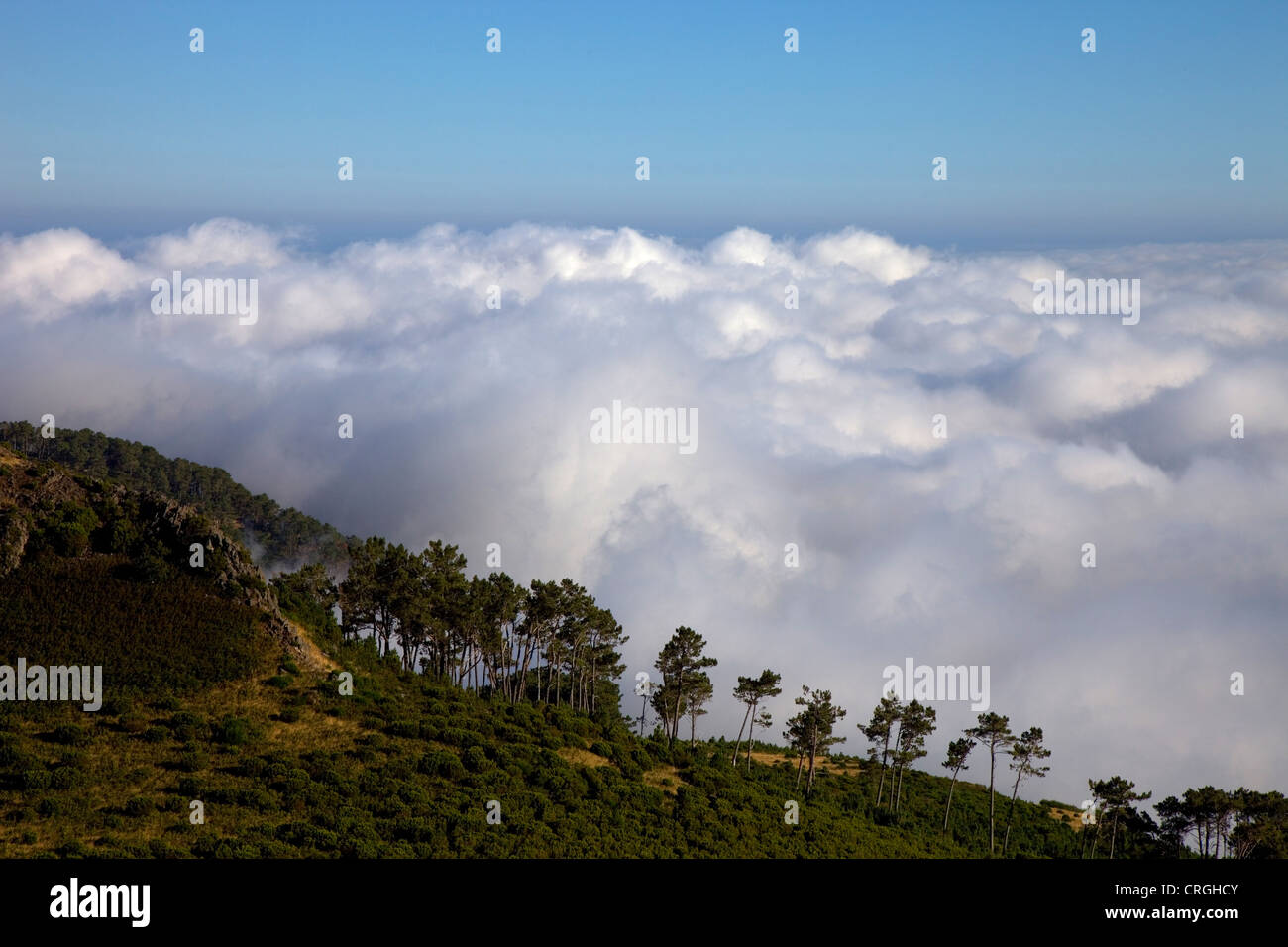 Mountains of Madeira island above the clouds at Pico do Areeiro and ...