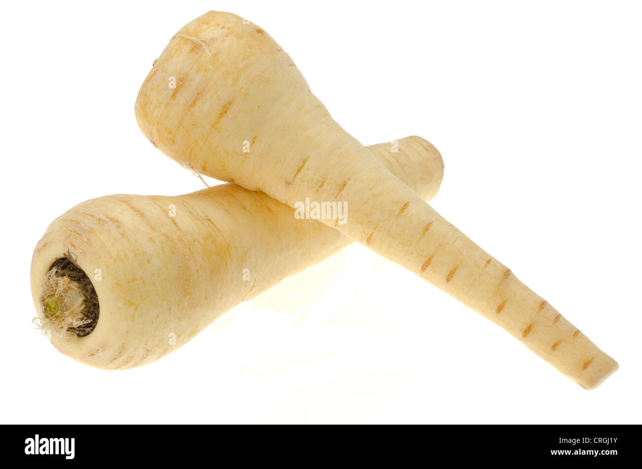 Two parsnips on a white background Stock Photo - Alamy