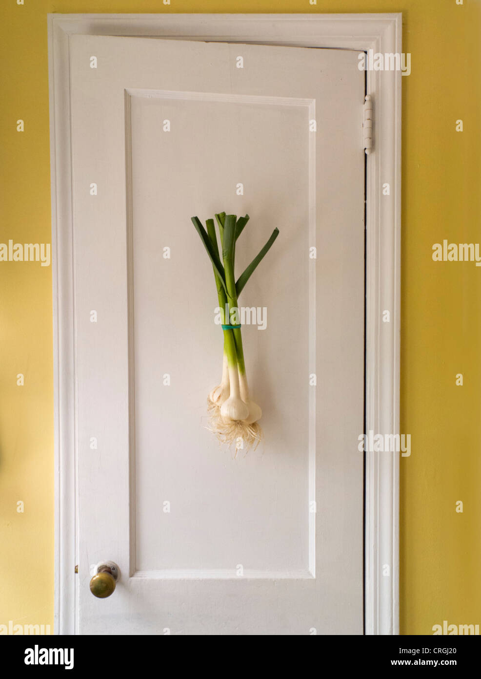Garlic knob hi-res stock photography and images - Alamy