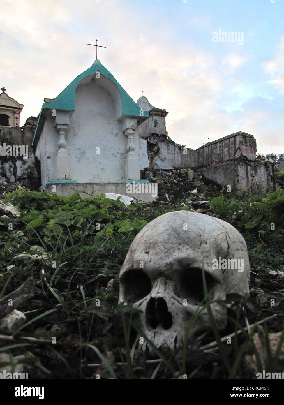 human skull lying between decayed crypts and graves at an old cemetery ...