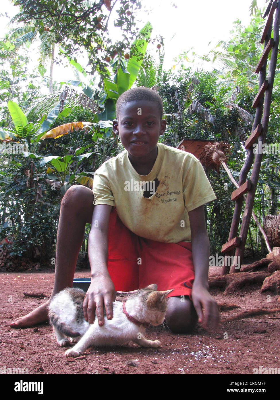 boy in rural area, playing with a cat, wooden ladder, Haiti, Grande ...