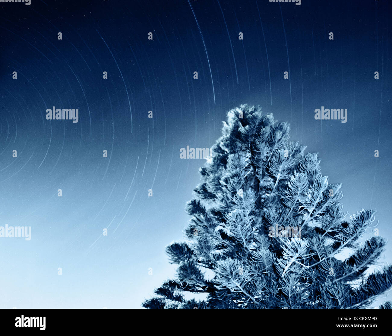 Night sky of falling shooting stars, dark space natural background ...