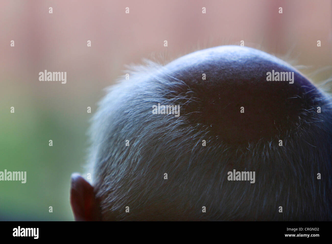 Bald head hi-res stock photography and images - Alamy