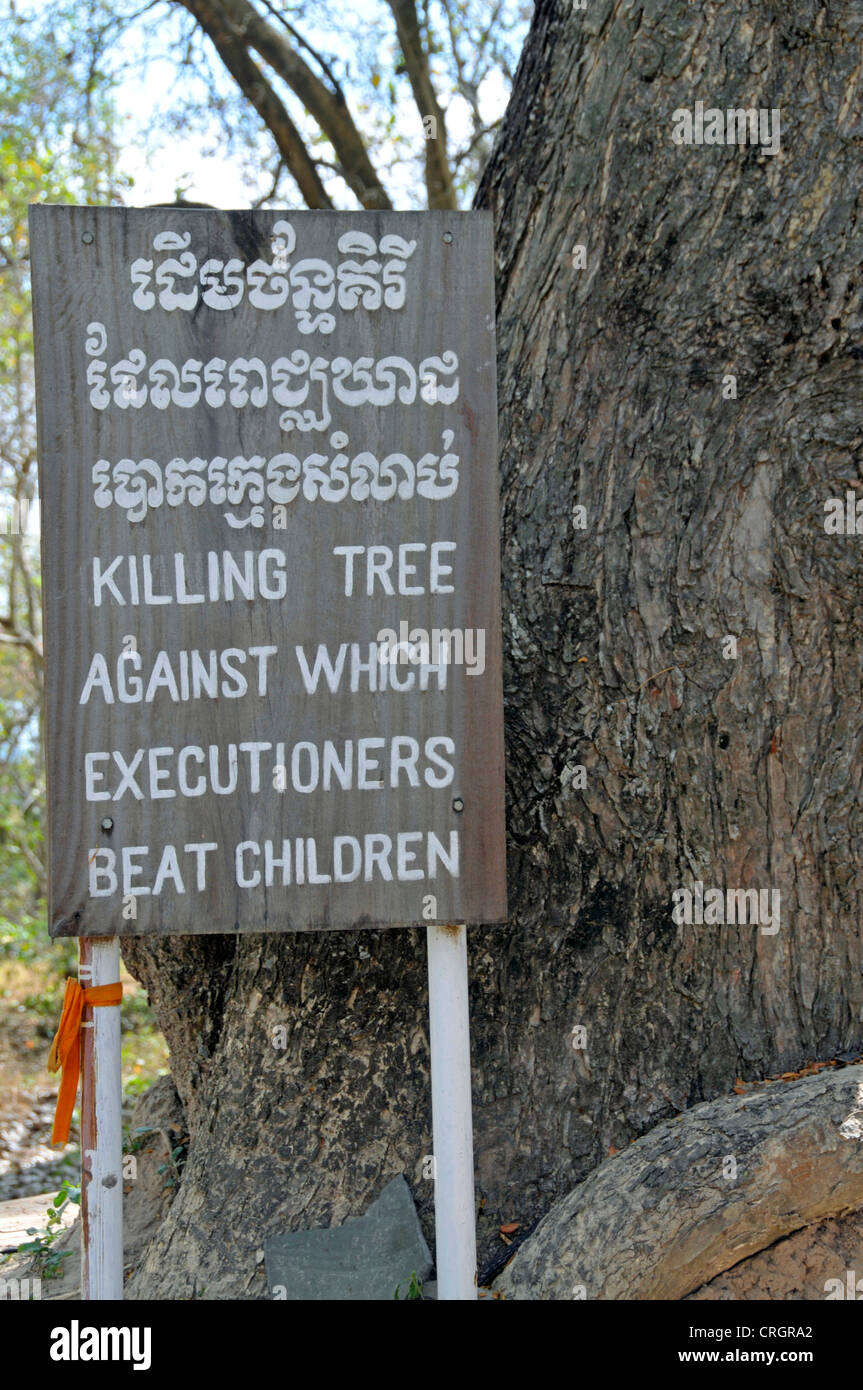 Chankiri tree cambodia hi-res stock photography and images - Alamy