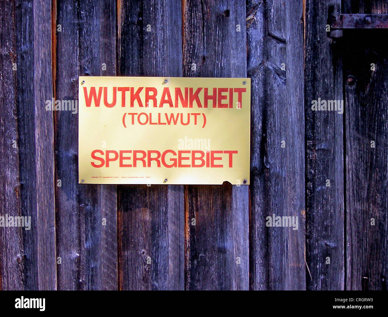 Danger of rabies hi-res stock photography and images - Alamy