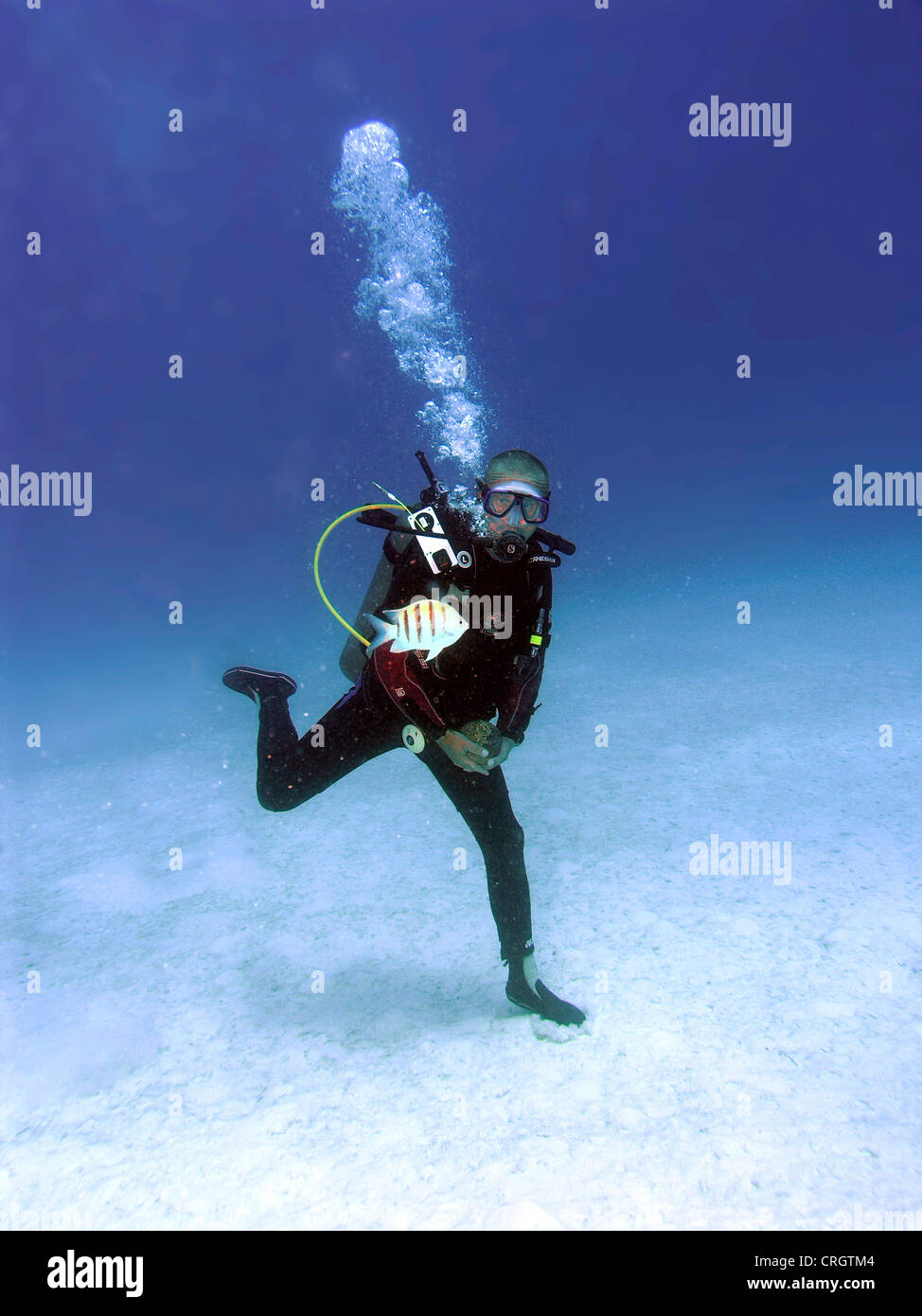 Cannonball diving hi-res stock photography and images - Alamy
