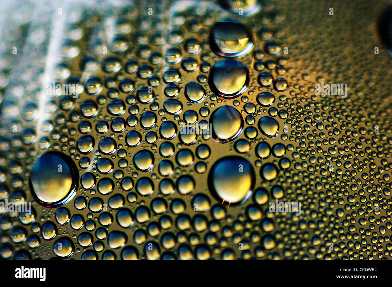 Water drops on glass hi-res stock photography and images - Alamy