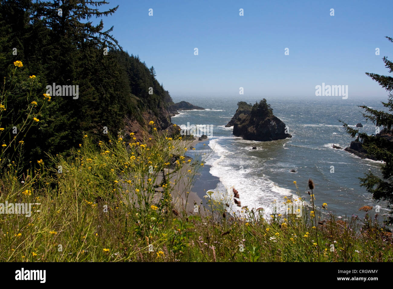 Scenic seascape from cliffs along Oregon Coast in July showing outcrop ...