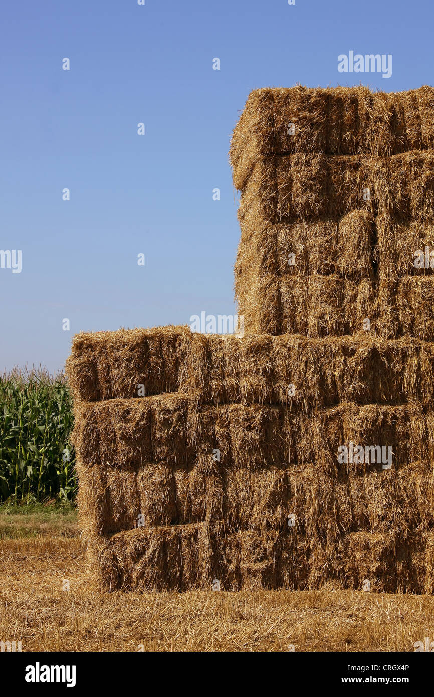 Straw bale wall hi-res stock photography and images - Alamy