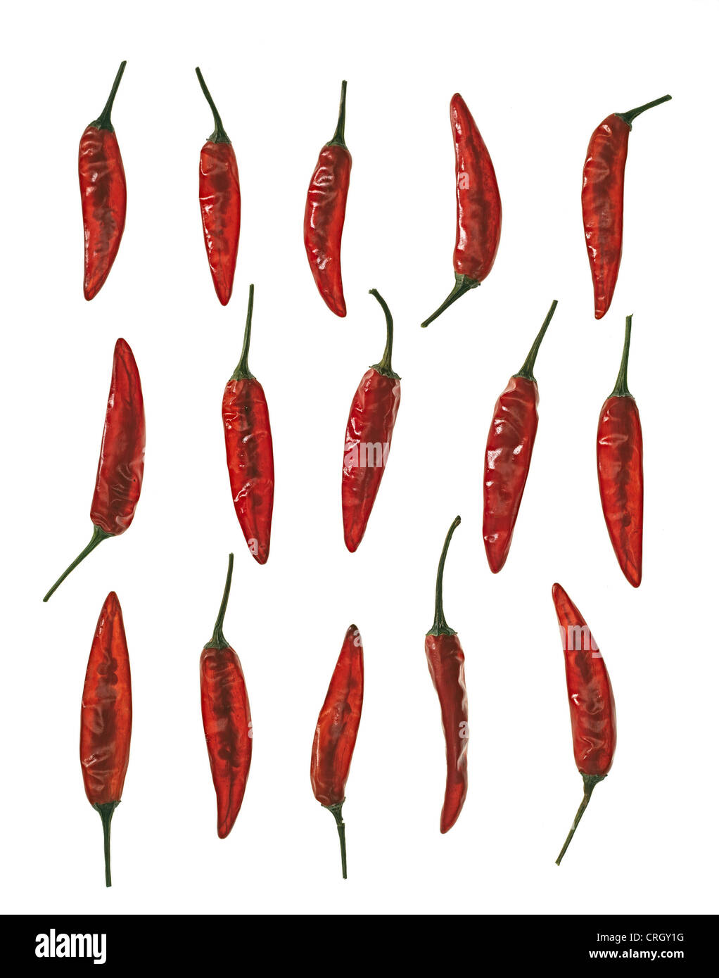 Capsicum annuum, Chilli pepper Stock Photo - Alamy