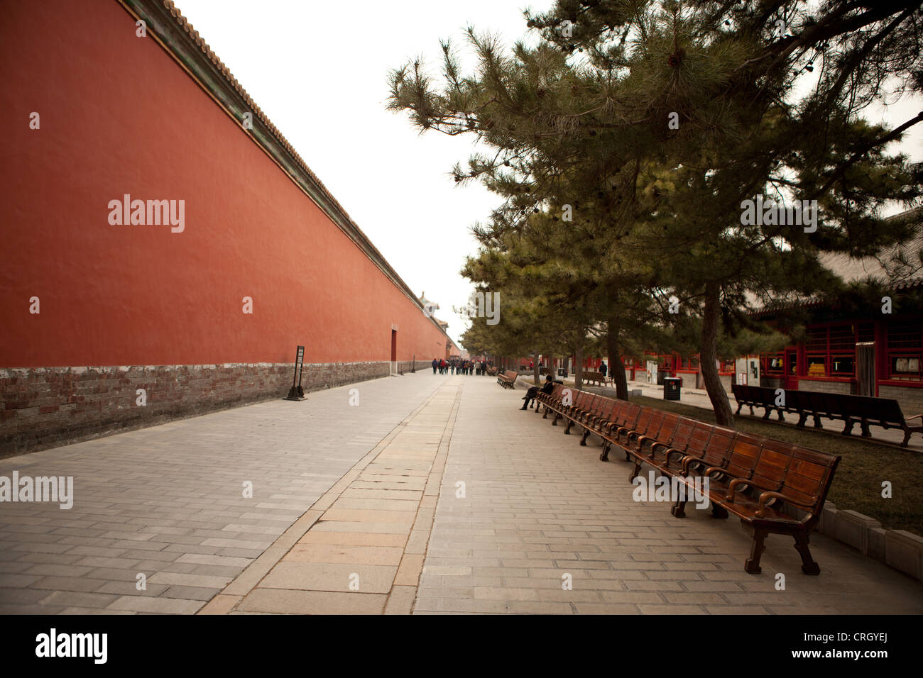 Bench chair pathway wall tree hi-res stock photography and images - Alamy
