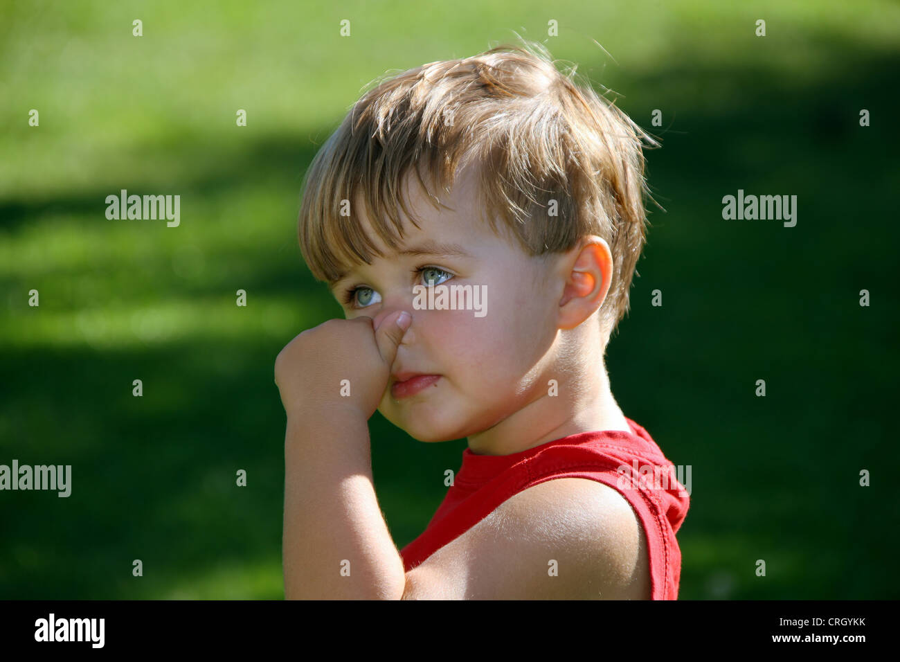 small sceptical boy, hand at his nose Stock Photo - Alamy