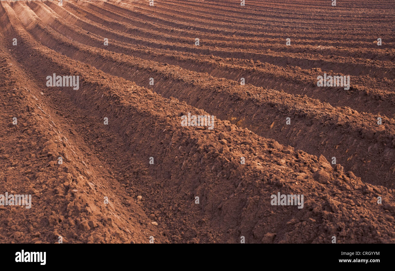 Ploughed field, Deep Furrows Stock Photo - Alamy