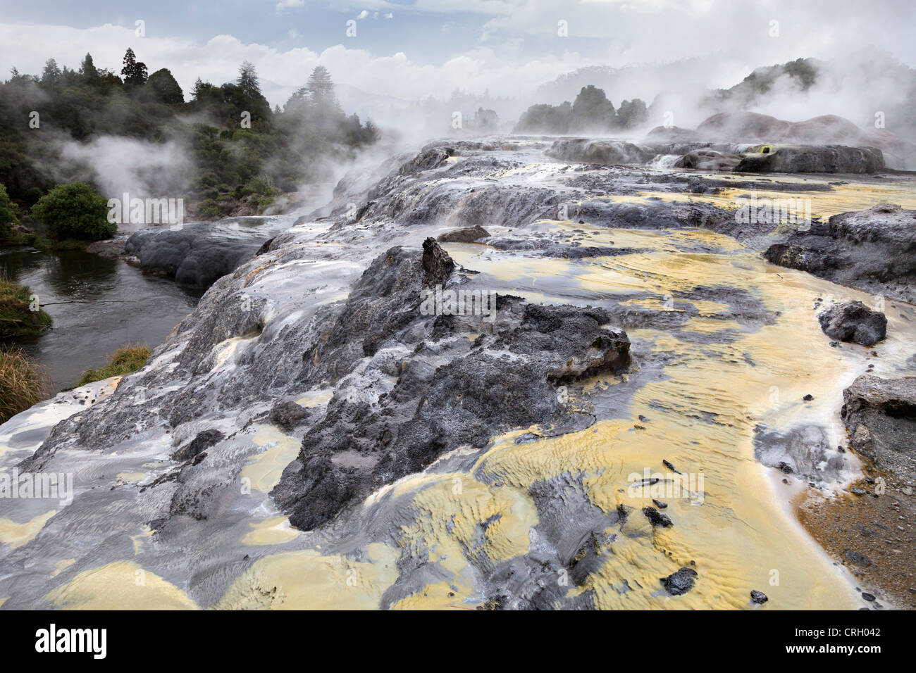 Primaeval scene at Te Puia geothermal area, Rotorua, New Zealand 5 ...