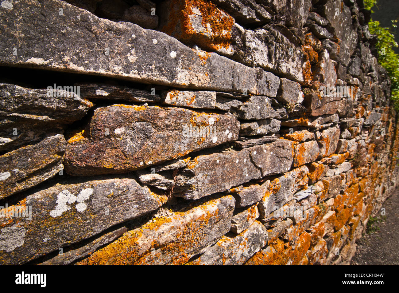 Lichen growing on stone hi-res stock photography and images - Alamy