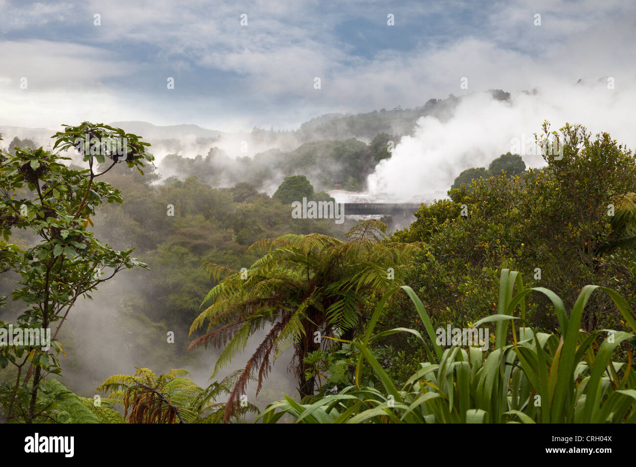 Primaeval scene at Te Puia geothermal area, Rotorua, New Zealand 7 ...