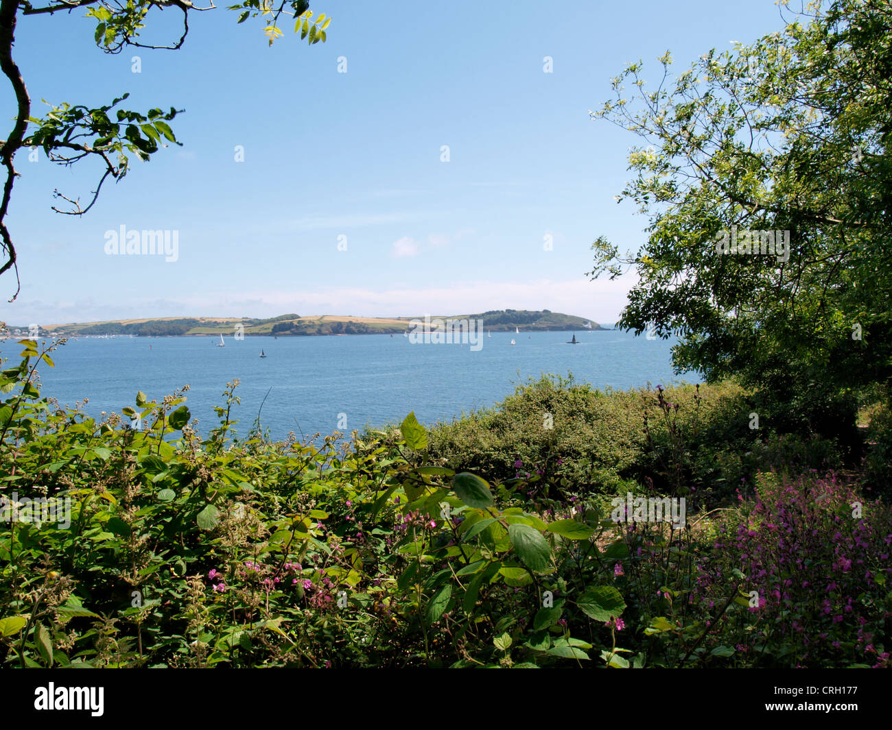 Falmouth estuary hi-res stock photography and images - Alamy