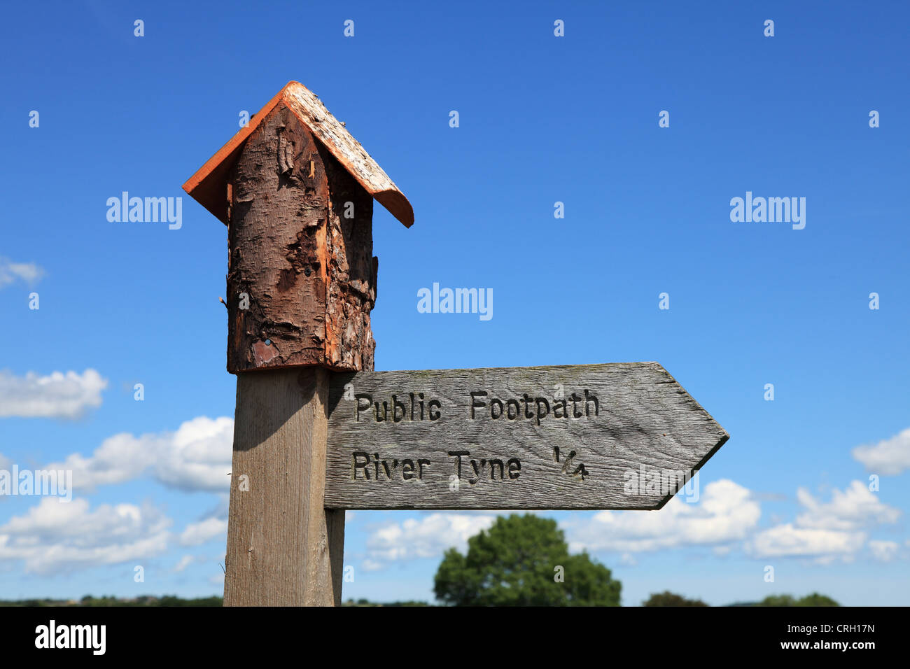 Ovingham northumberland hi-res stock photography and images - Alamy